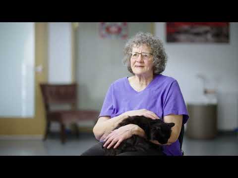 Heartfelt Care: How a Veterinary Cardiologist Prolonged One Cat's Life After Critical Diagnosis