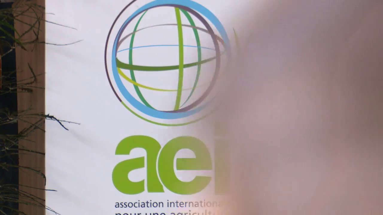 Les entretiens de l'AEI février 2018 - YouTube