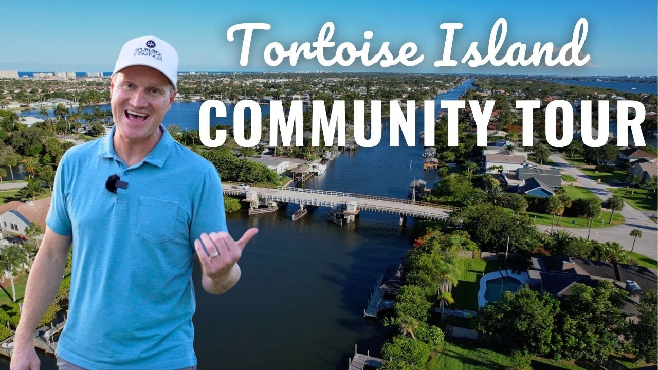 Welcome to Tortoise Island! - YouTube