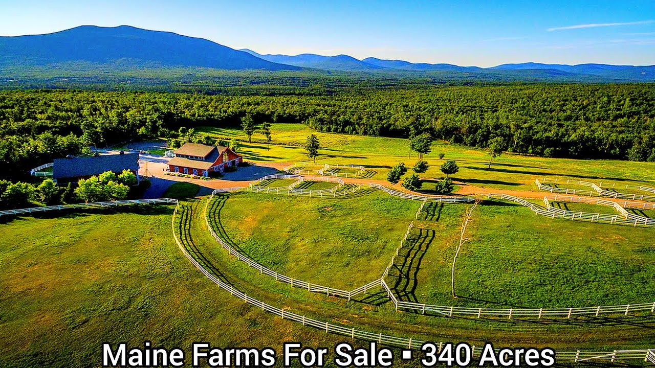 Maine Farms For Sale | 340 Acres | Maine Land For Sale | Homestead ...