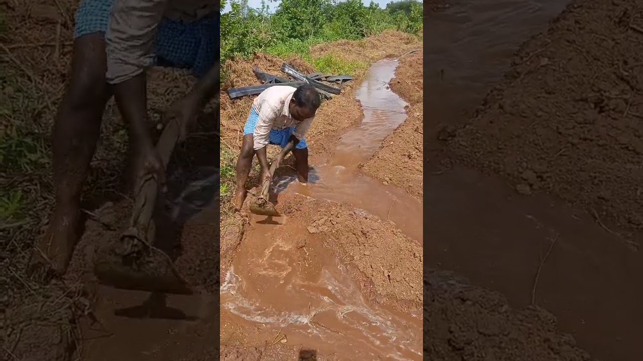 farmer struggle - YouTube