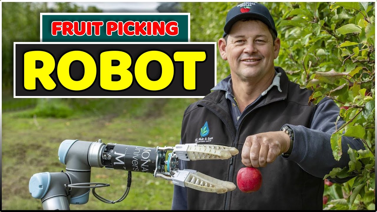 Revolutionizing Farming with Fruit Picking Agriculture Robot - YouTube