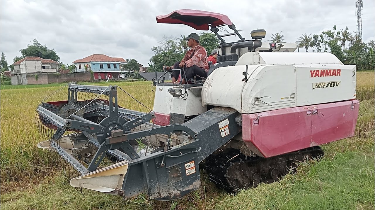 Panen Padi menggunakan Mesin Combine Harvester - YouTube