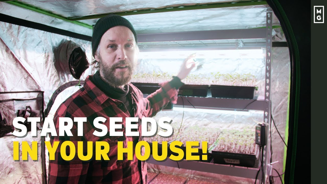Starting Seeds Indoors | How To Set Up A GROW TENT! - YouTube