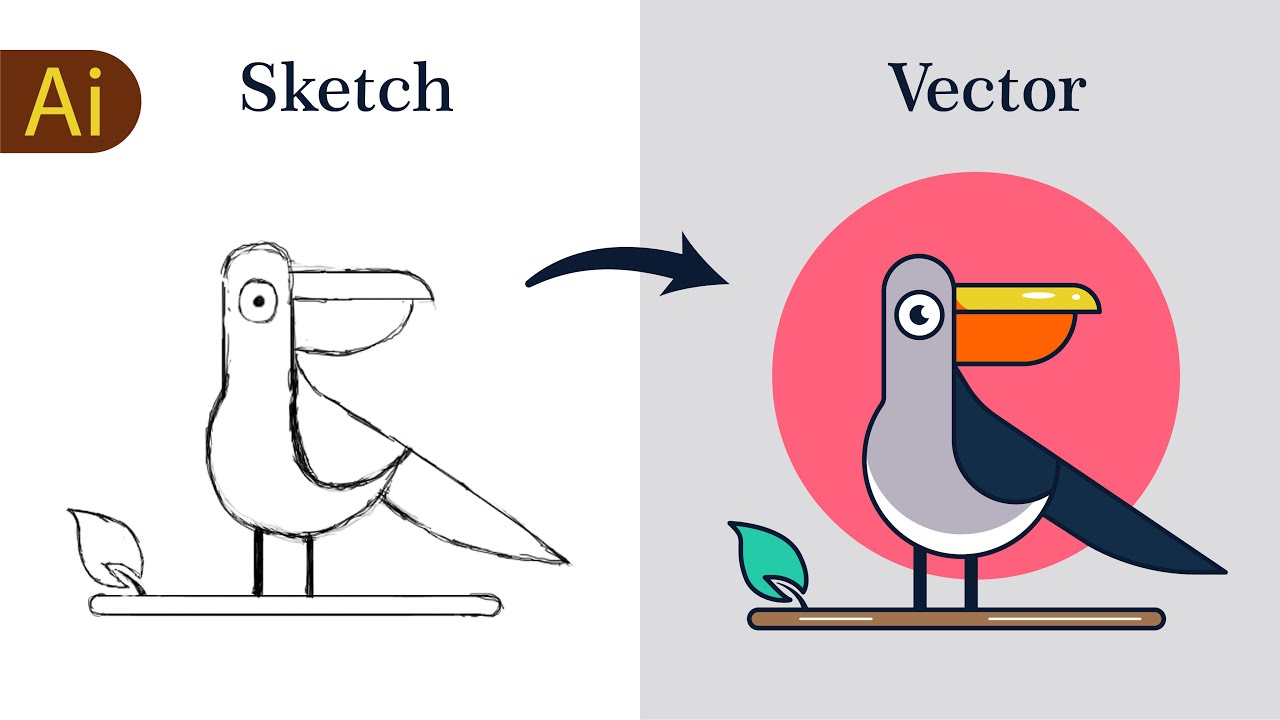 How To Draw A Toucan - Adobe Illustrator Tutorial(Beginners) - YouTube