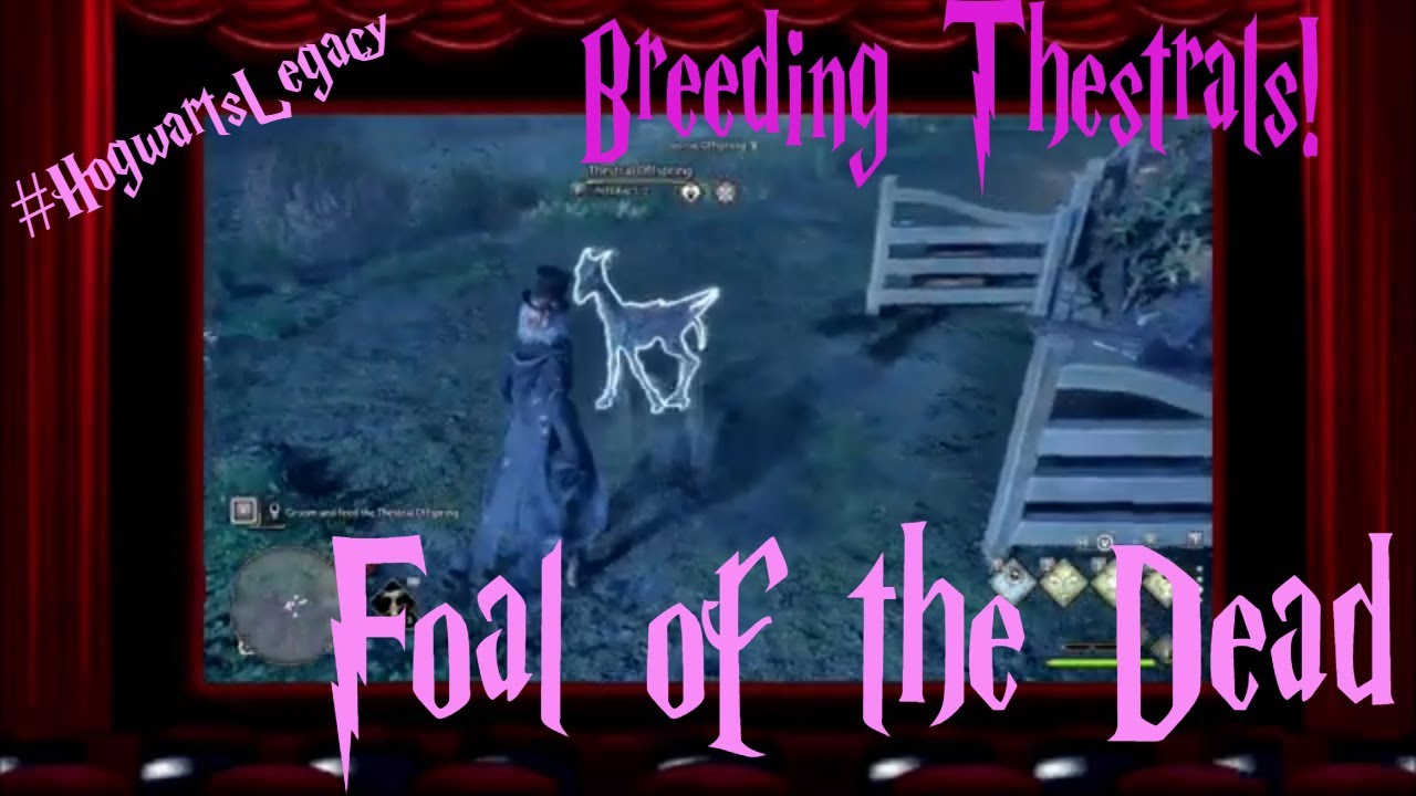 Hogwarts Legacy: Part 28 - Foal of the Dead! - YouTube