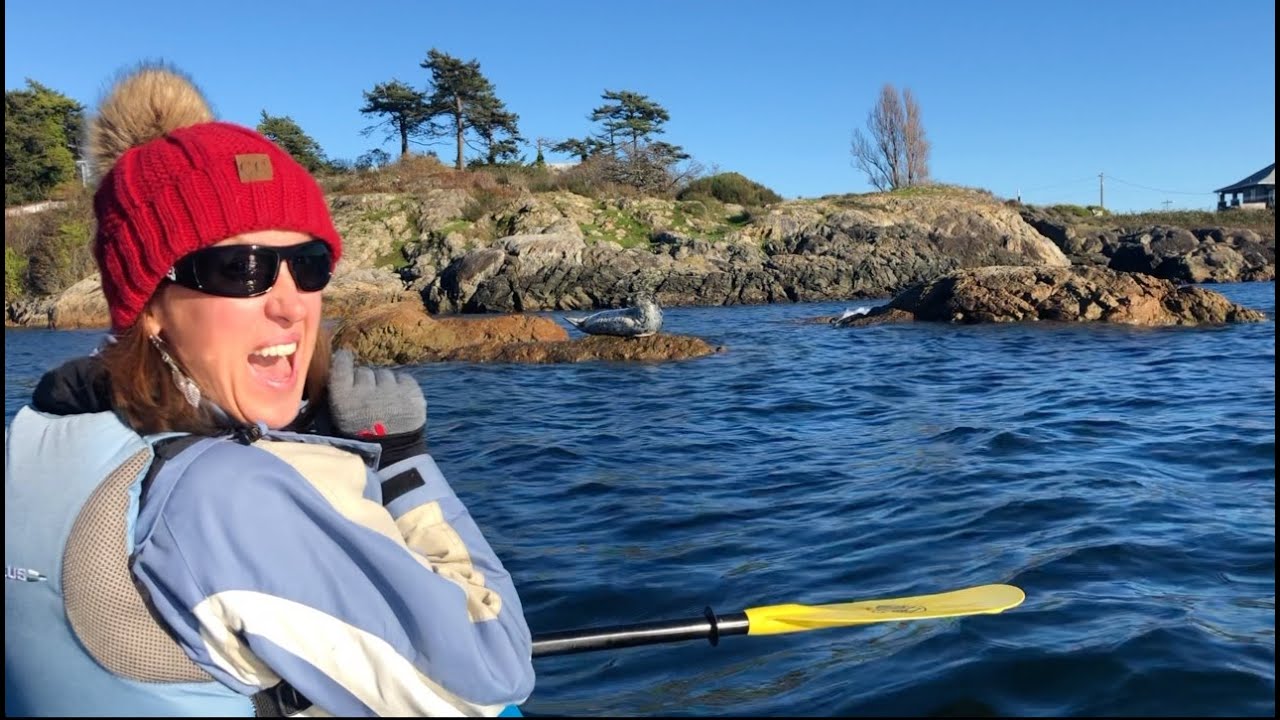 Check out what we saw while kayaking in Victoria BC! - YouTube