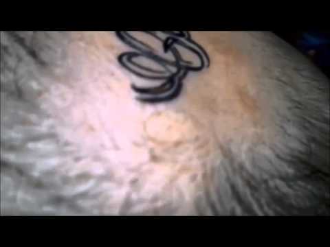 GÖKÇE GÖKÇEM TATTOO TATTOOS  ART İNK KALICIDÖVME  İSİM DÖVMESİ  PROFESYONEL DÖVMESTÜDYOSU