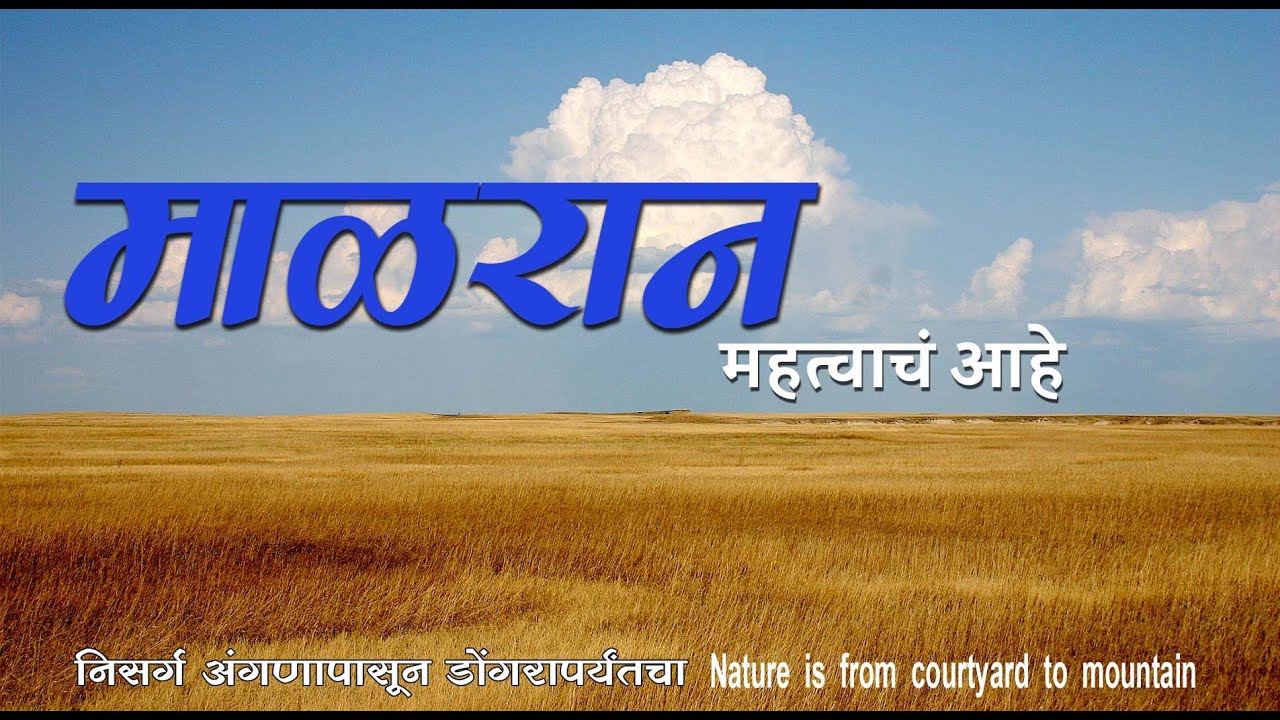 माळरान महत्वाचं आहे. | grassland | Rupak sane - YouTube