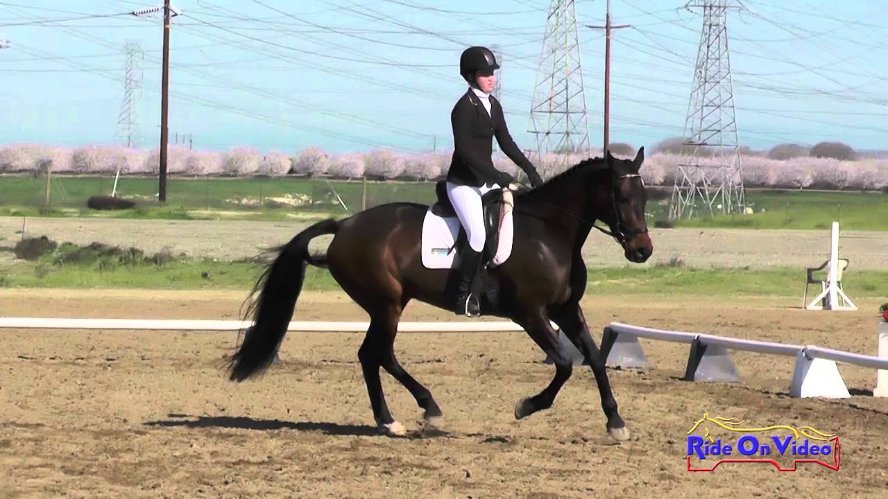 144D Katrina Moss on Appletini SR Training Dressage FCHP International ...