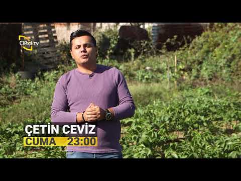 Çetin Ceviz - Fragman - Bugün - Saat : 23. 00 da