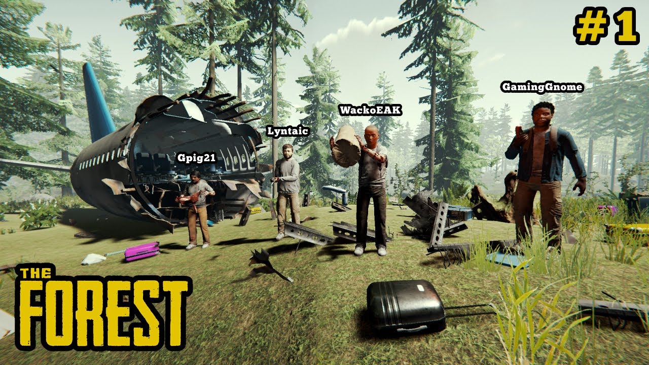 Our Plane Crashed - The Forest (#1) Lets Play - YouTube