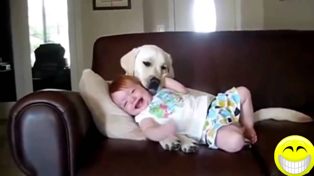 Vídeos de risa(Bebes)-parte 2 - YouTube