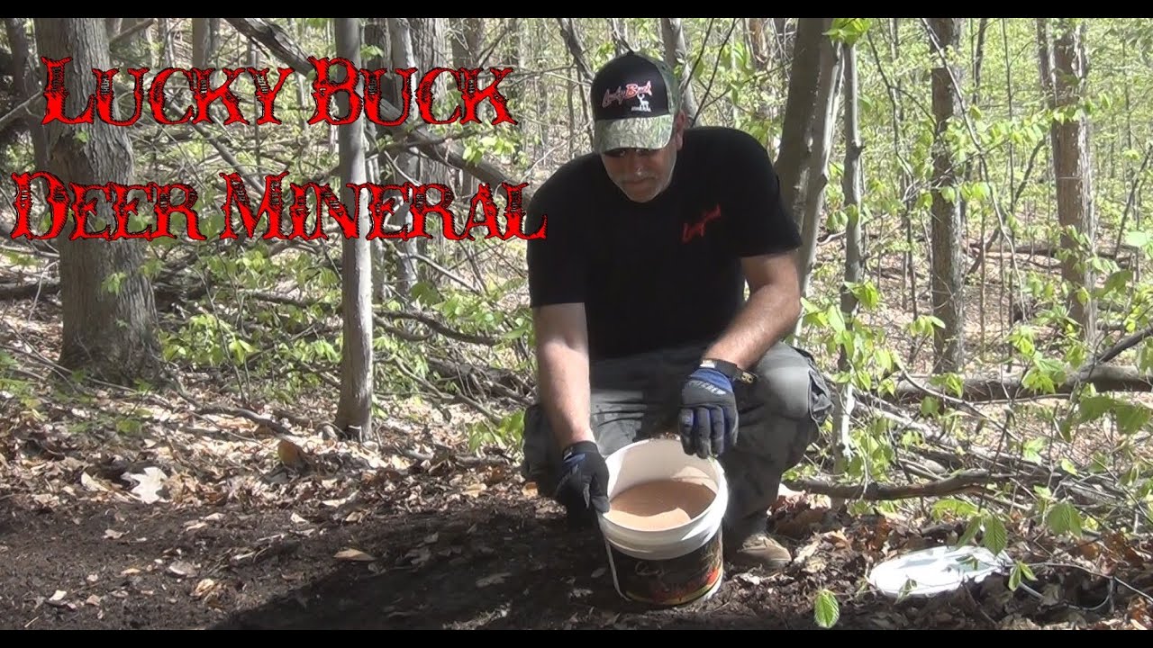 Using Lucky Buck in the Deer Mineral Pit - YouTube
