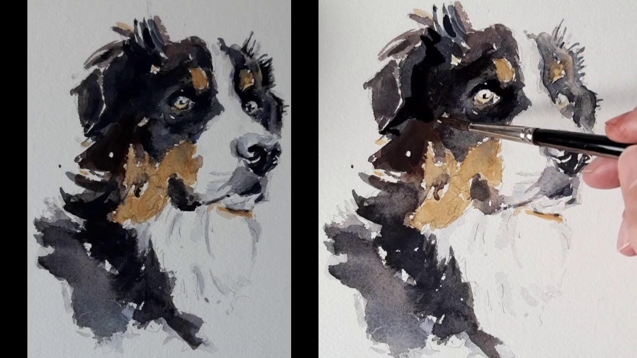 Cómo pintar un perro a la acuarela. Pinto tu mascota por 35€. Tinta ...