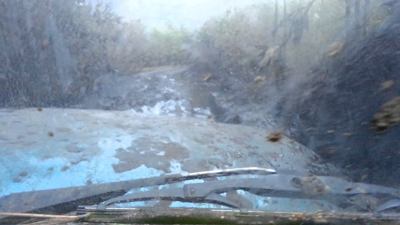 Sammy doing some work - YouTube