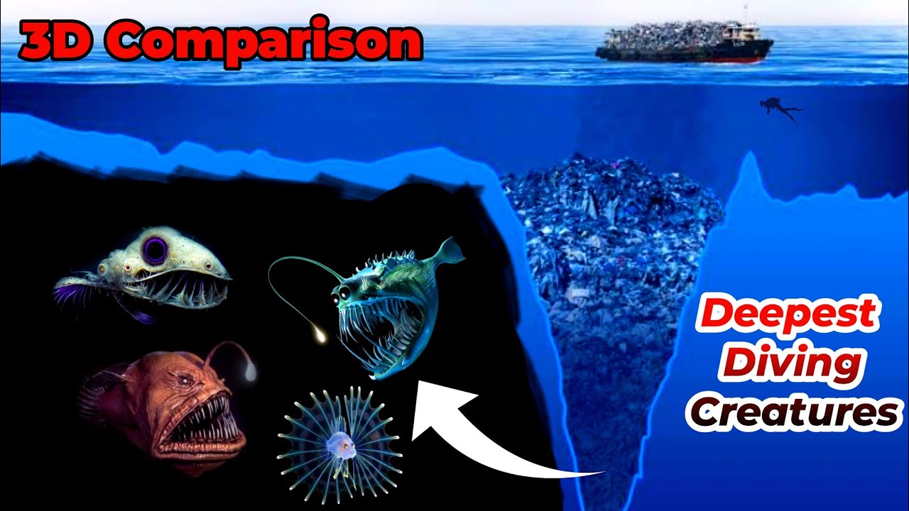 Deepest Diving sea creatures / terrifying sea creatures (3d animation ...