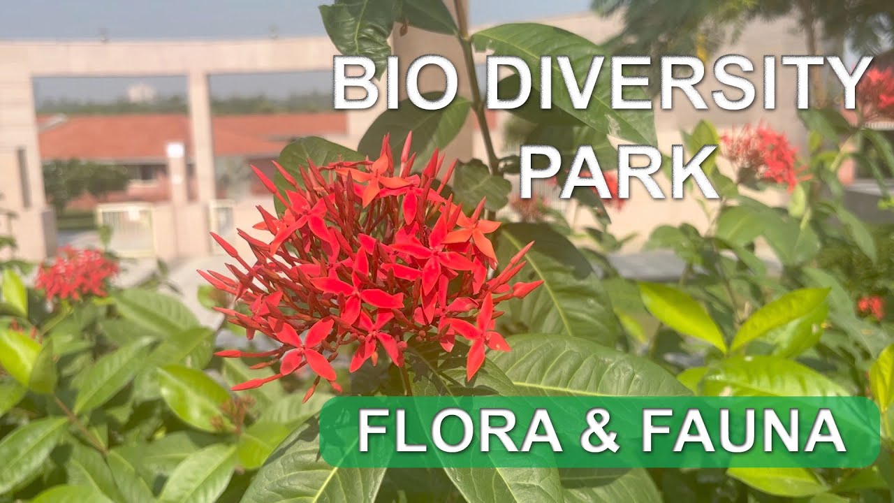 Flora & Fauna | Biodiversity Park, Noida - YouTube