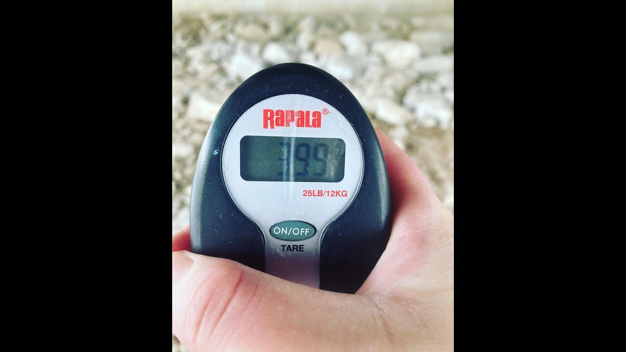 WHEN YOU CATCH A LINE WITH A 4LB SMALLIE ON IT... - YouTube