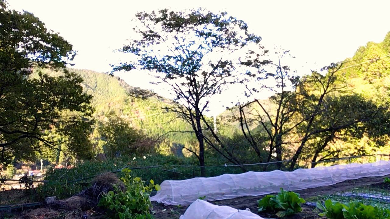 上を向いて歩こう 横笛 - YouTube