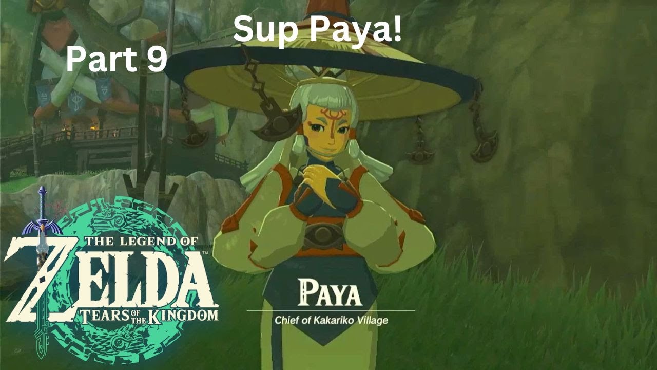Fascinating Tears Of The Kingdom Paya Gallery