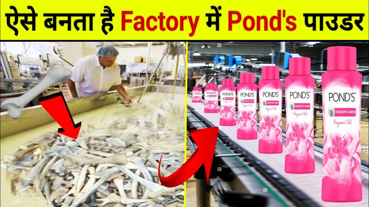 देखिए Factory में Ponds Powder कैसे बनता है 😱 | See How These Product ...