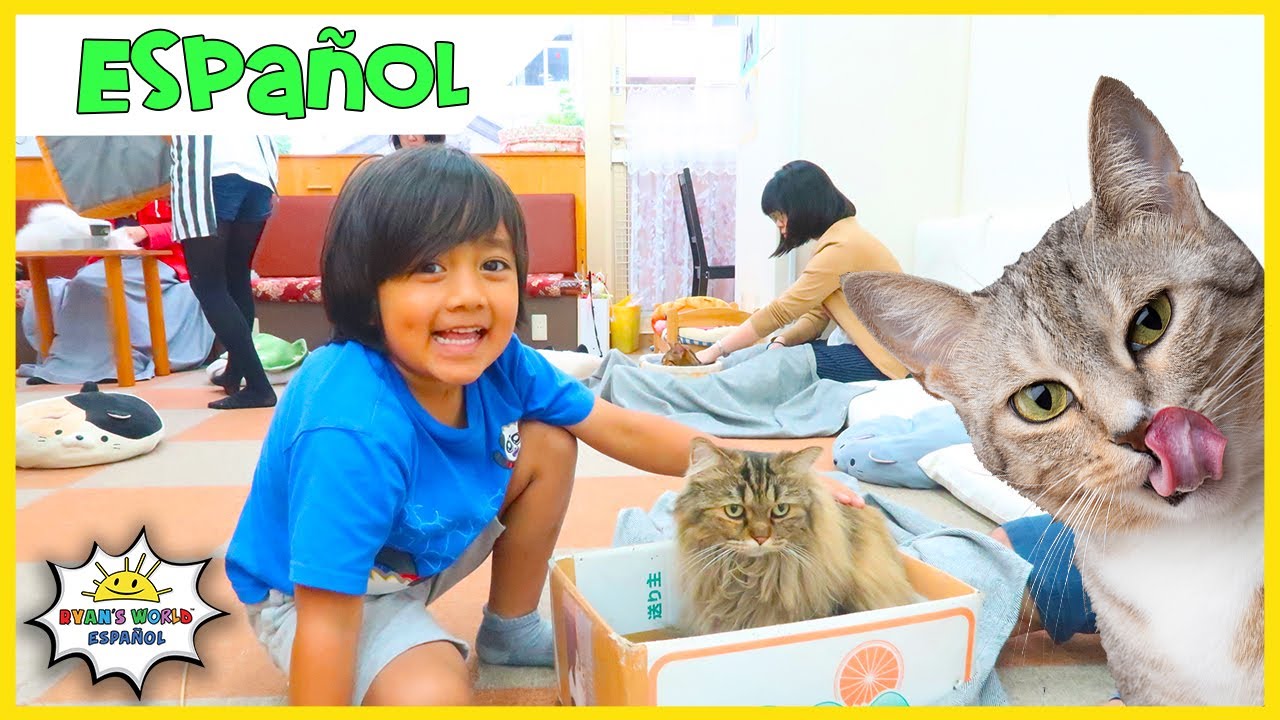 Ryan quiere más gatos para su cumpleaños - YouTube