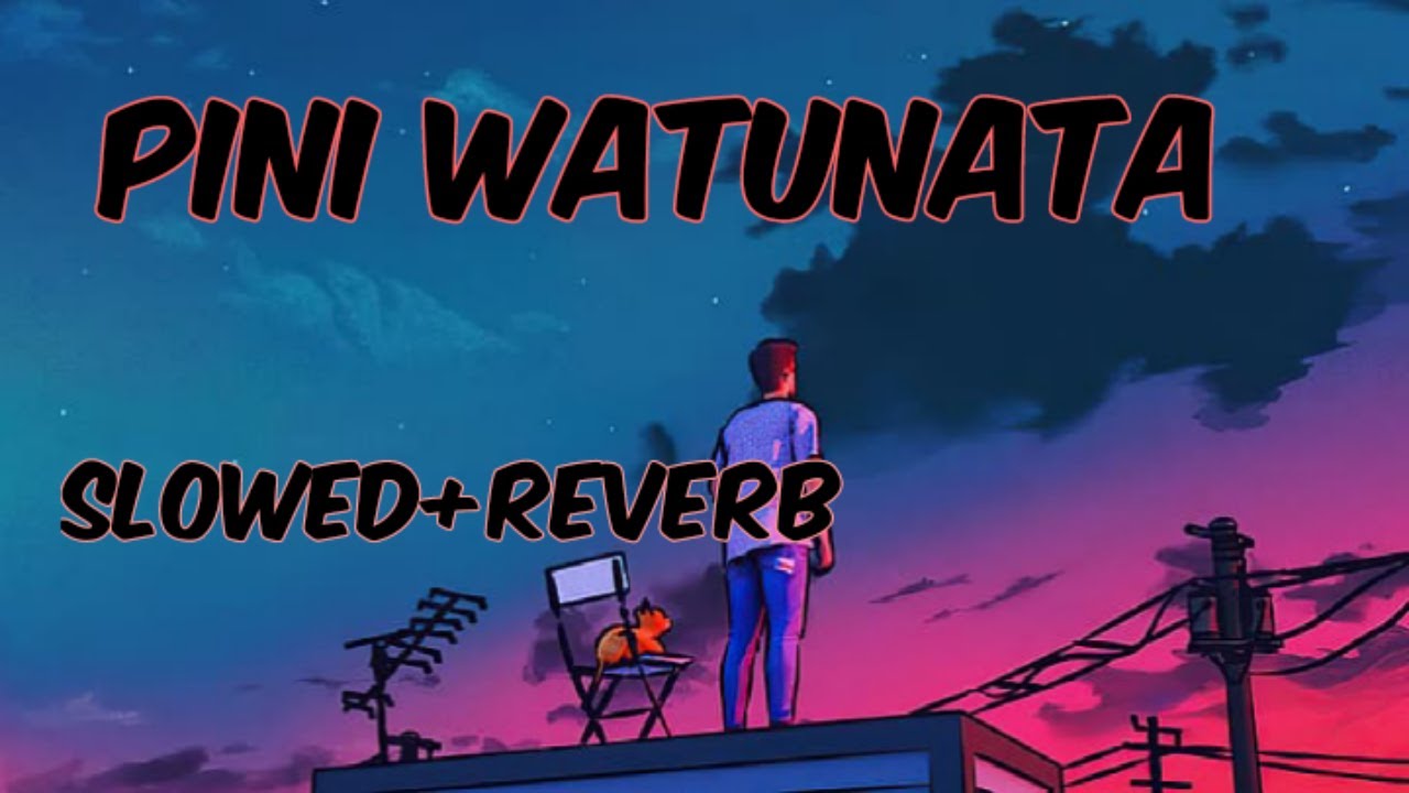 Pini Watunata (Cover Song) Slowed+Reverb(Highlight music) - YouTube