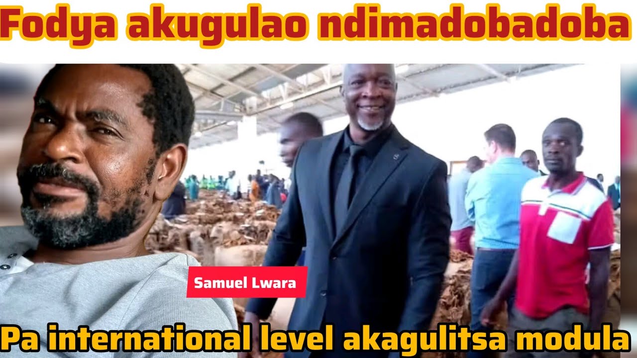 Fodya yuvakugulawa ndi Ma Dobadoba ndipo iwo akagulitsa modula pa ...