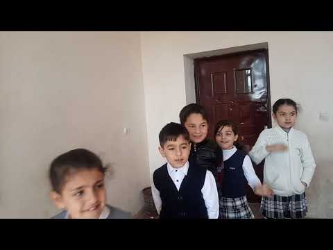 GÜNÜN QALİBİ. 2a sinfi. Hüseynova Şəhla.