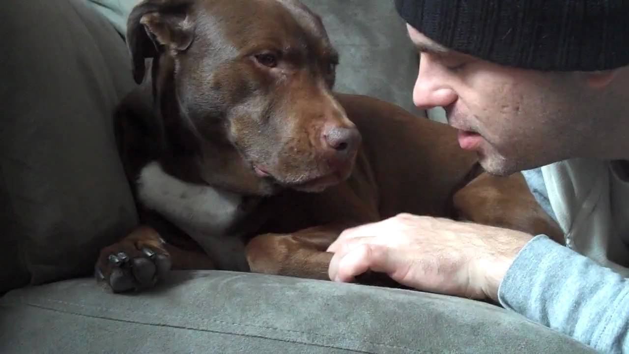 Keefa and Me : The Trailer - YouTube