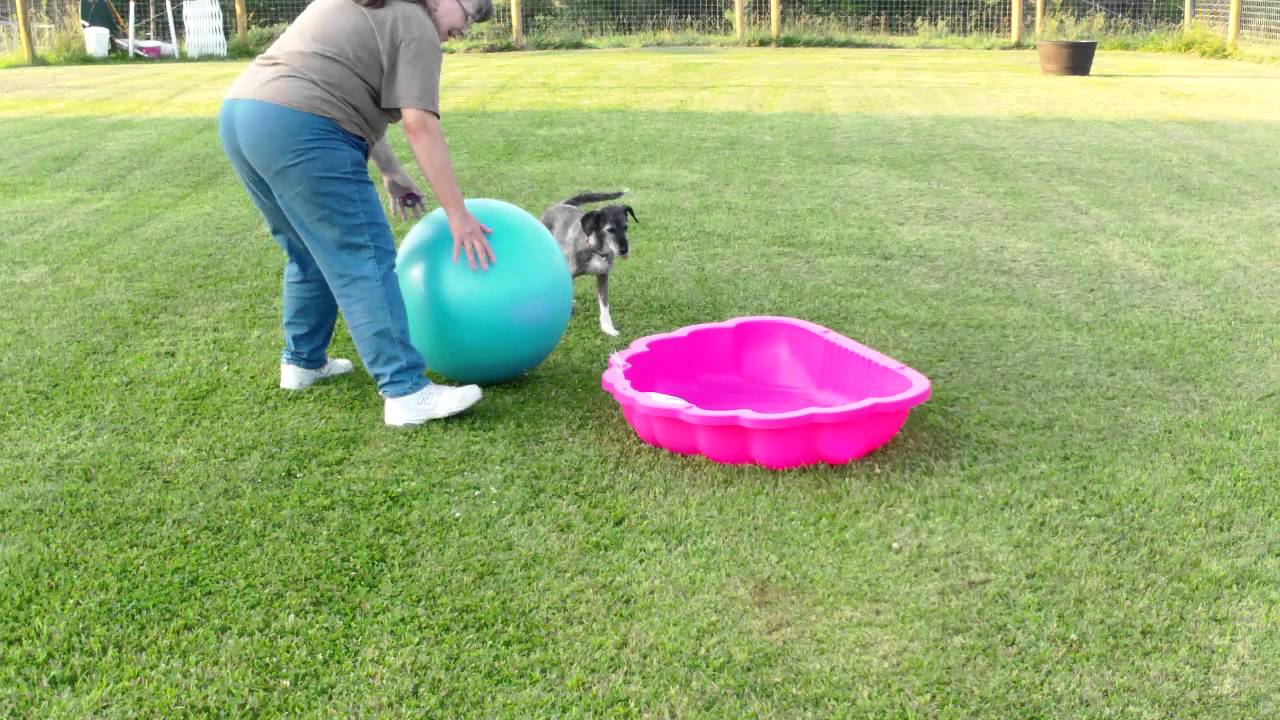 Practice pushing ball out of dry pool (Abby) - YouTube