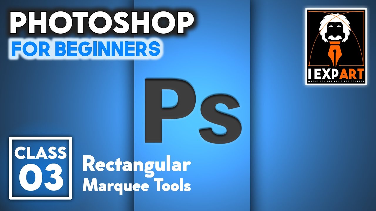 Adobe Photoshop for Beginners | Basic Selections | rectangular marquee ...