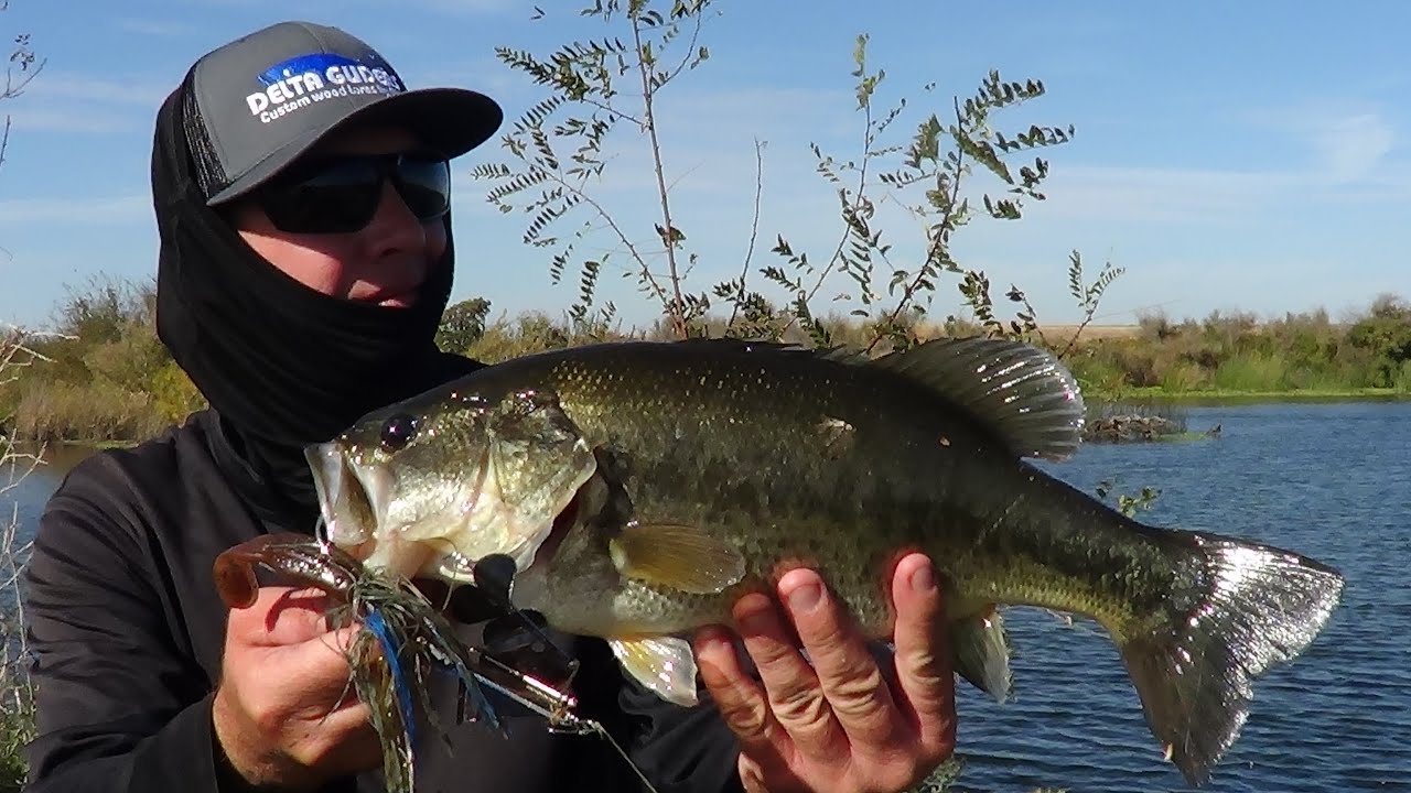 FUN TIMES .... ON THE CALIF. DELTA - YouTube