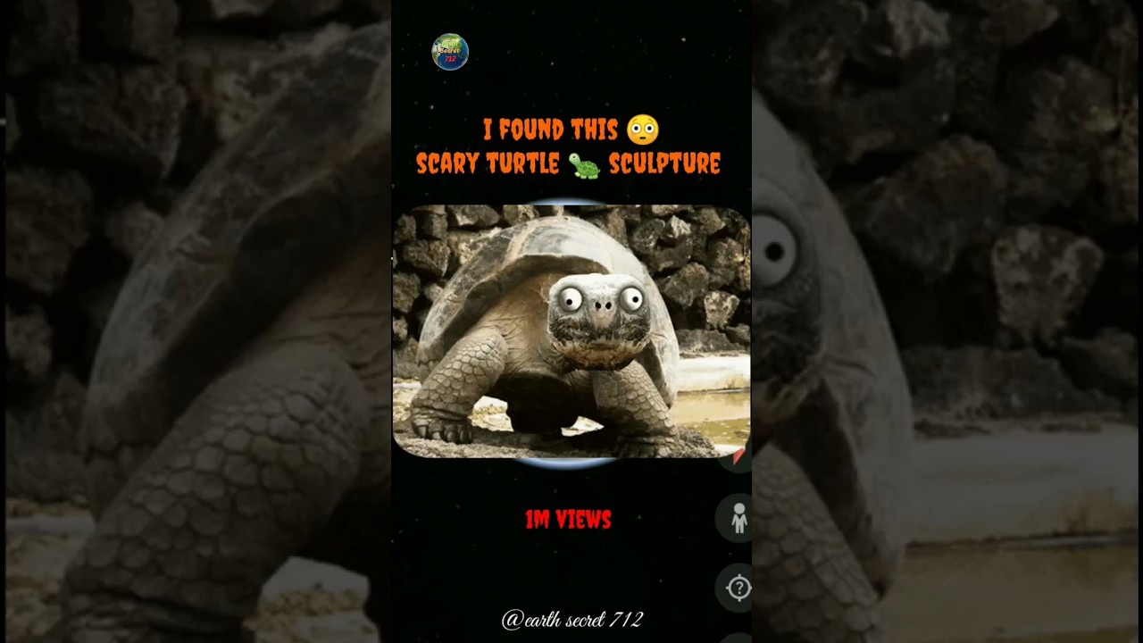 found this😳scary turtle 🐢 sculpture is the real life location on google #map #earth # ...