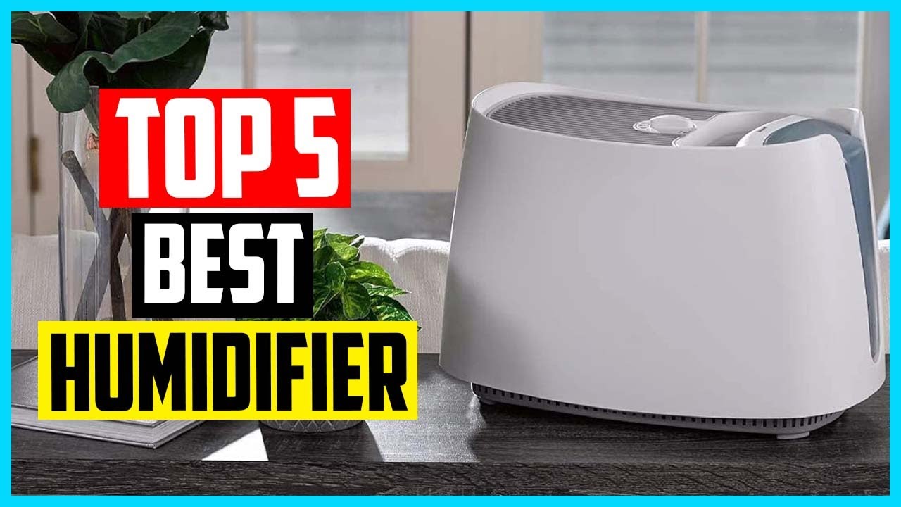 Top 5 Best Humidifier in 2024 - YouTube