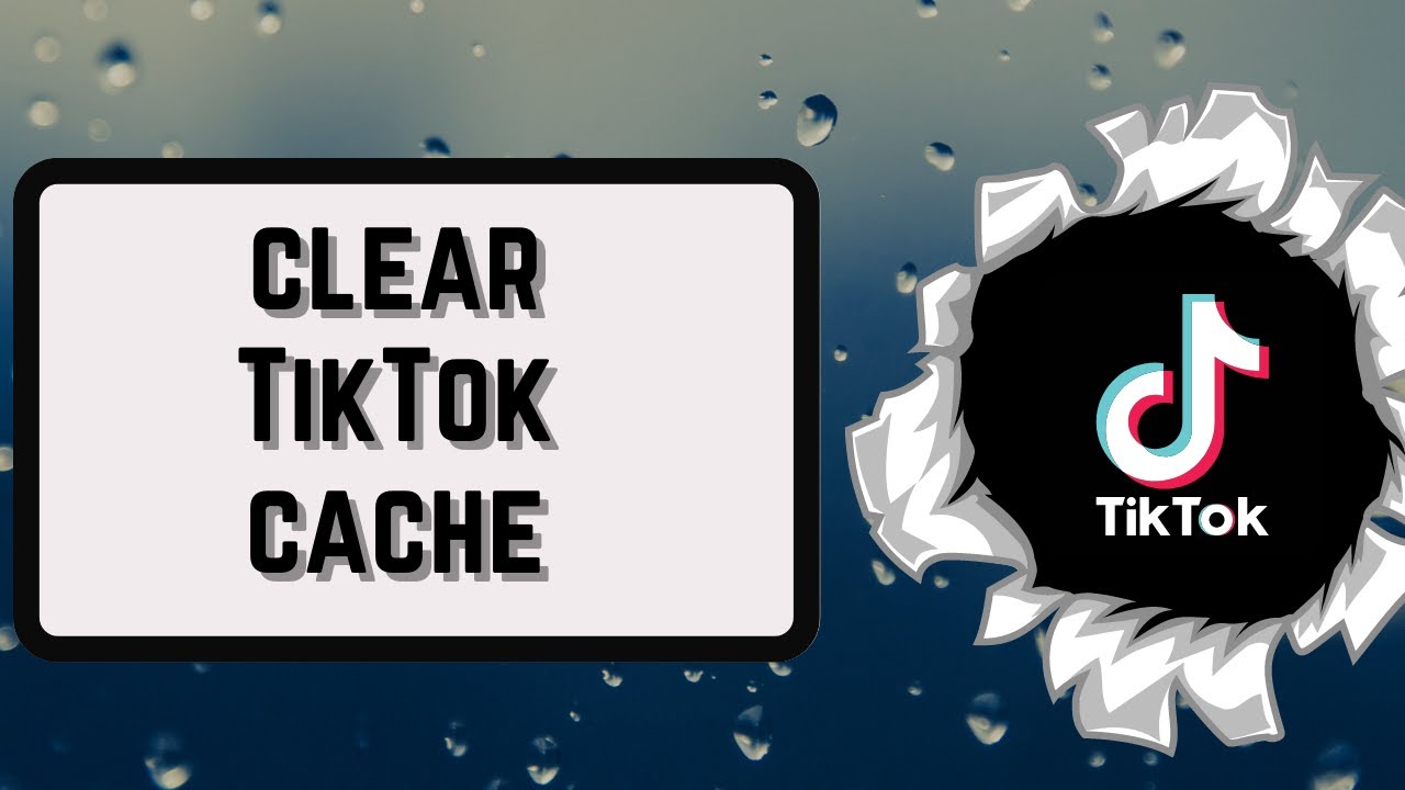 How To Clear Cache On TikTok Step by Step Guide YouTube how-to-clear-cache-on-tiktok-step-by-step-guide-youtube