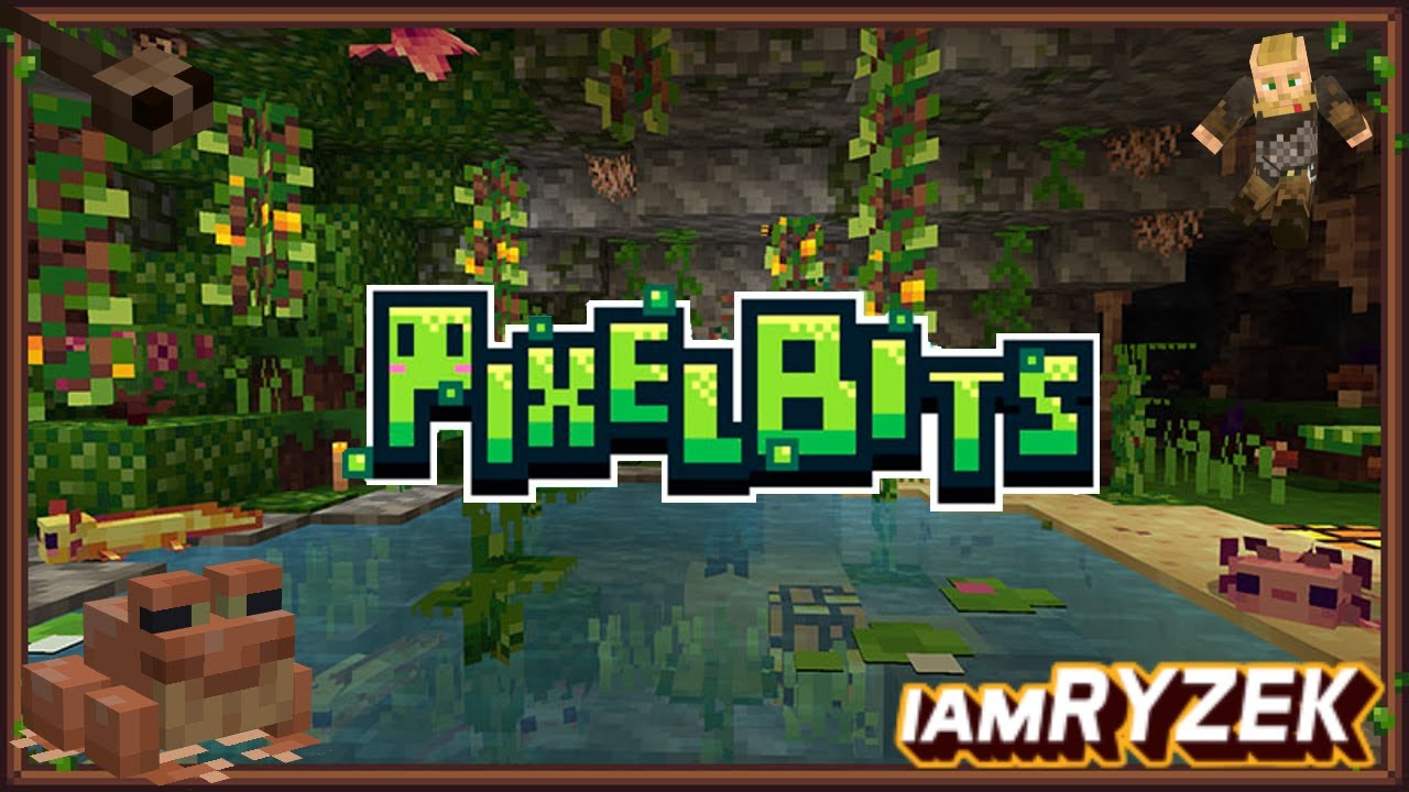 PIXEL BITS | MARKETPLACE REVIEW PART 1 - YouTube