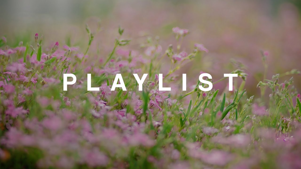 (PLAYLIST) study/reading/writing/a Calm playlist for reading,/Sunmade ...