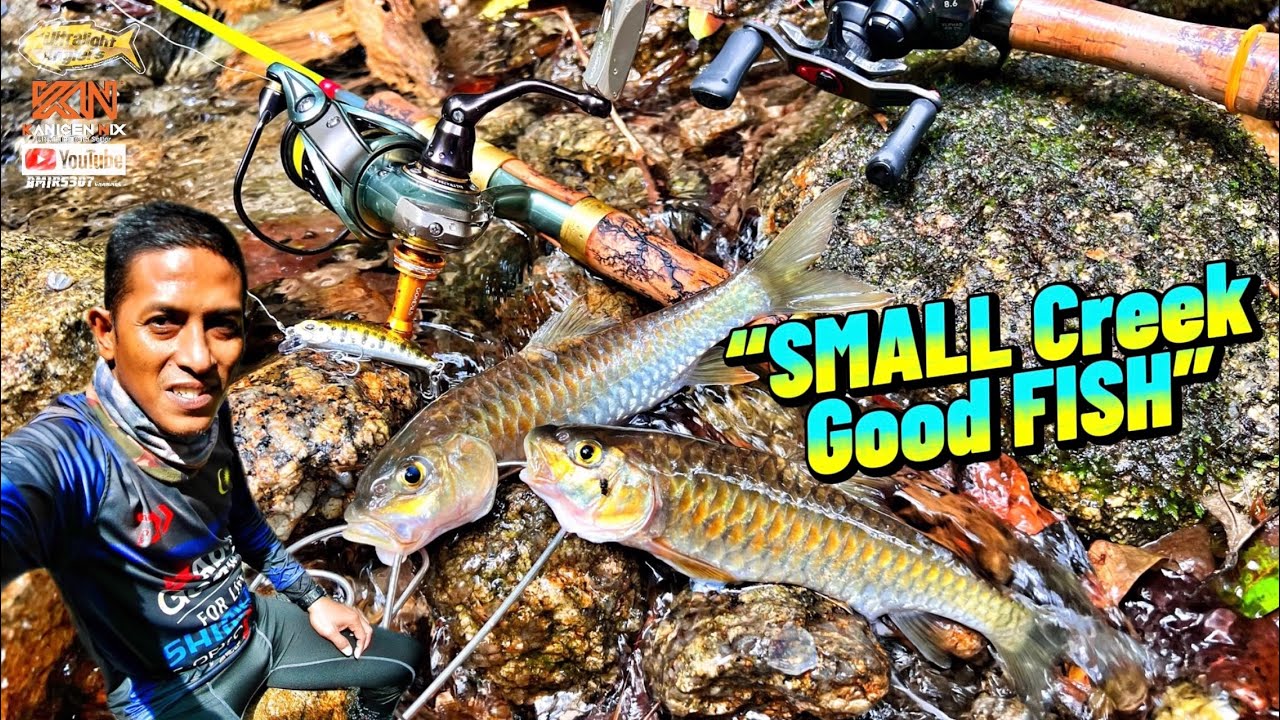The Greatest Stream Fishing | Copper Mahseer - YouTube