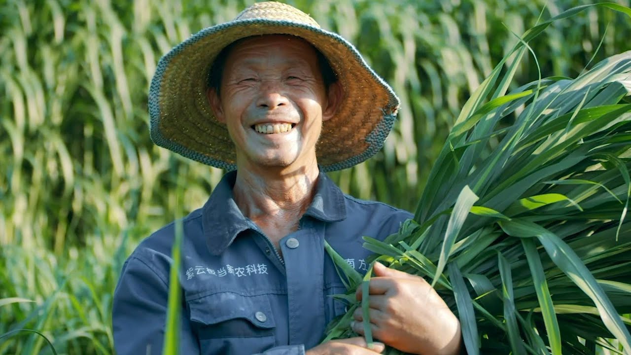 A brand new life! SW China's Guizhou relocates people to tackle poverty ...