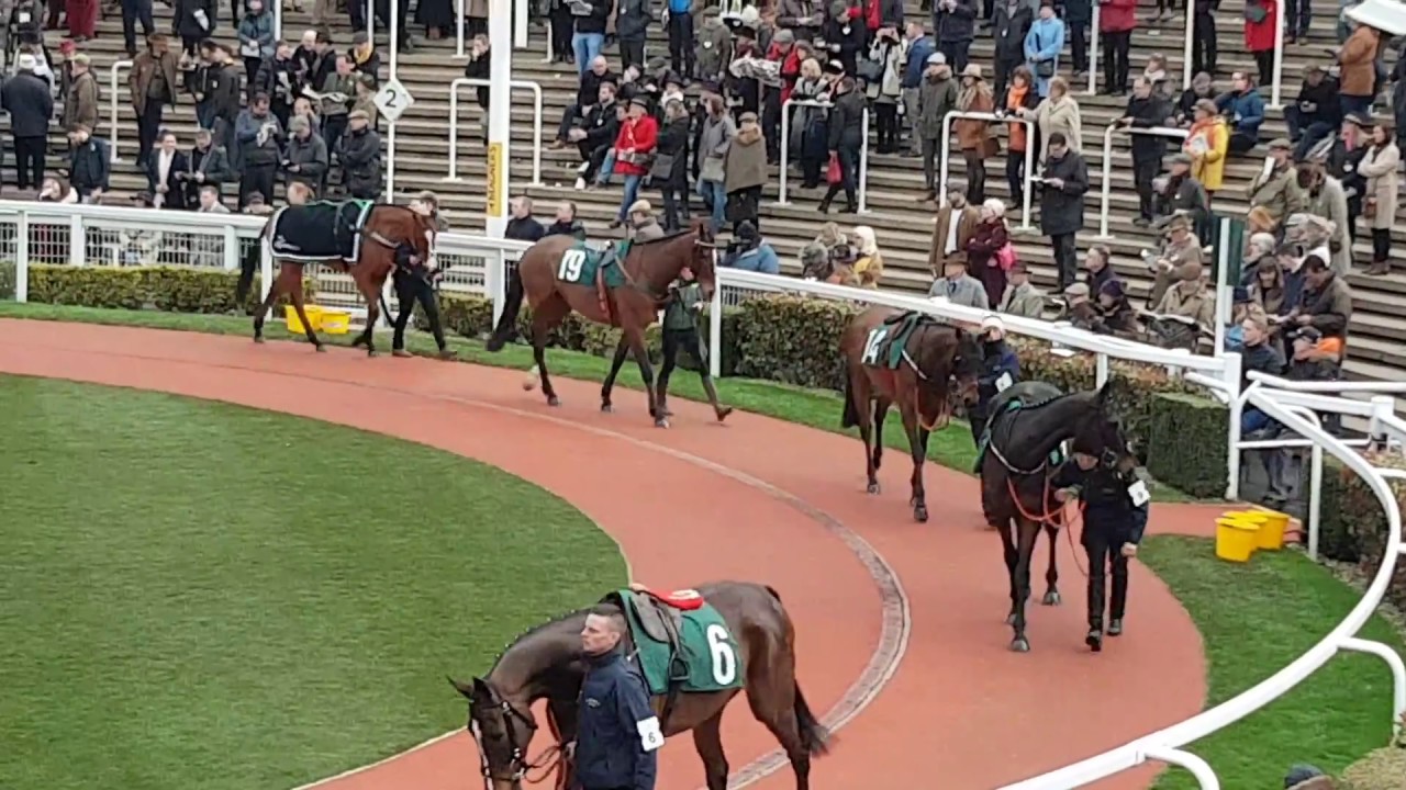 Cheltenham - Parade Ring (2019) - YouTube