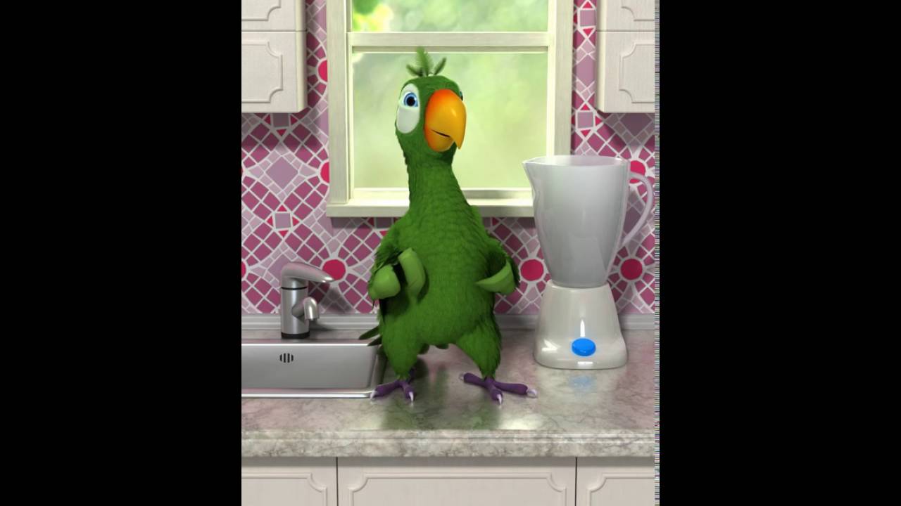 Talking Pierre the Parrot - YouTube