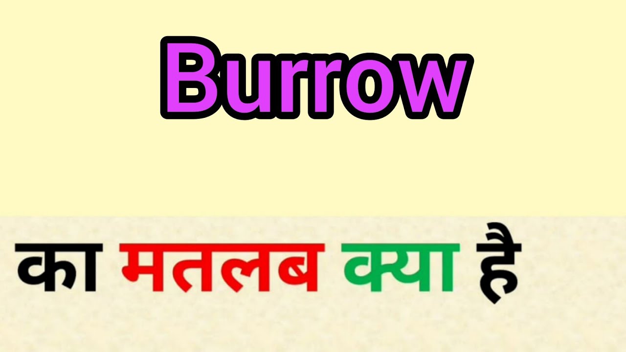 Burrow meaning in hindi | burrow ka matlab kya hota hai | word meaning ...