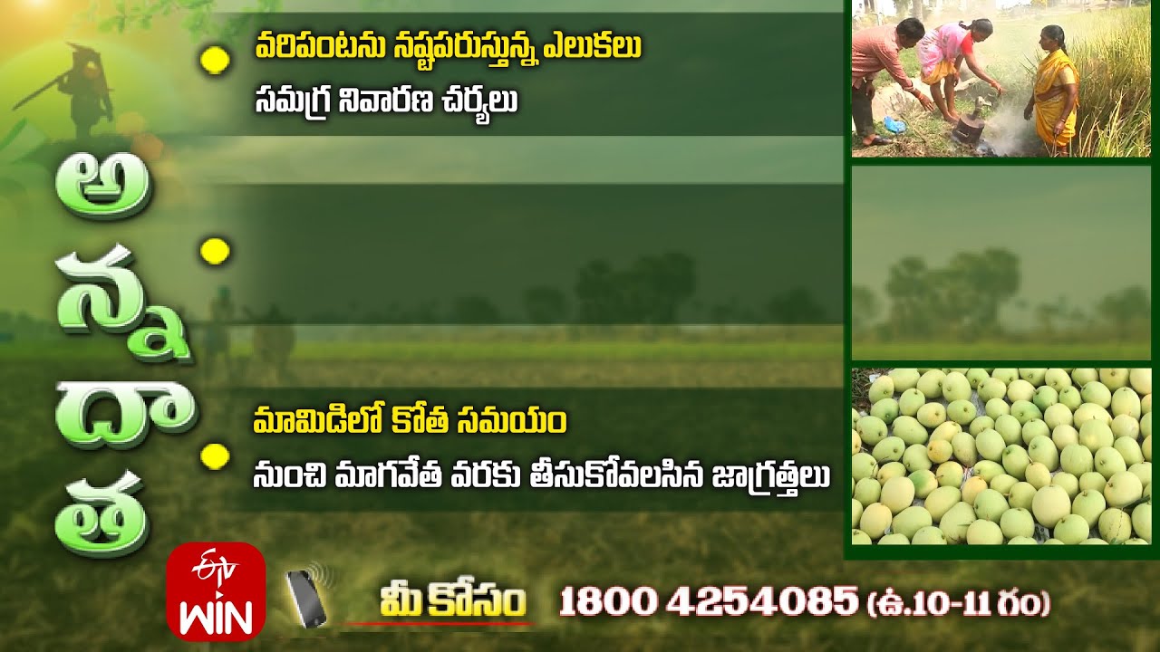 22nd March 2024 | Annadata | అన్నదాత | Full Episode | ETV Telugu - YouTube