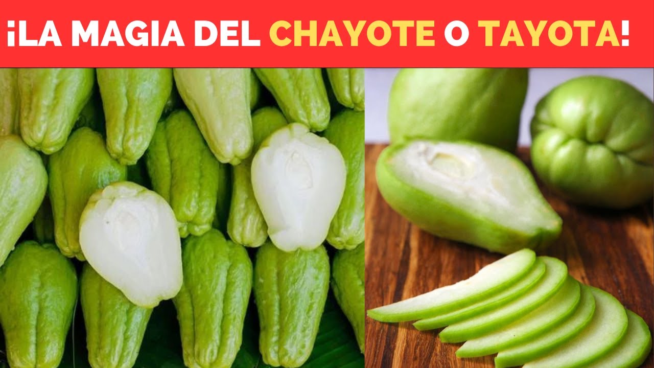 Beneficios del Chayote o Tayota: Propiedades y Usos para la Salud ...