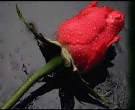 Urfalı (dj ilyaso@dj efkarlı)halit ve çobo