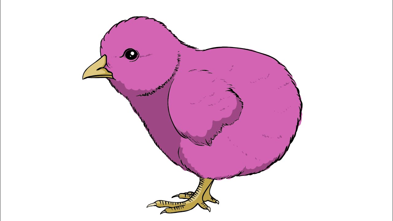 How to Draw A LITTLE CHICKS | Drawing and Coloring Tutorial - YouTube