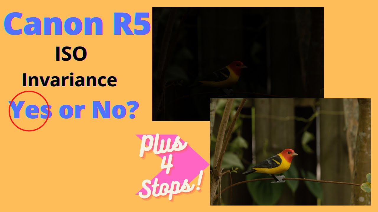 Canon R5 ISO Invariance - YouTube
