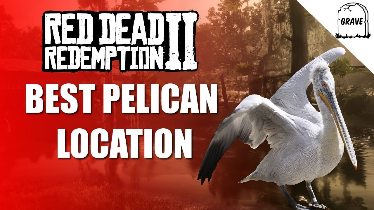 Best Pelican Location Red Dead Online | Daily Challenge RDR2 - YouTube